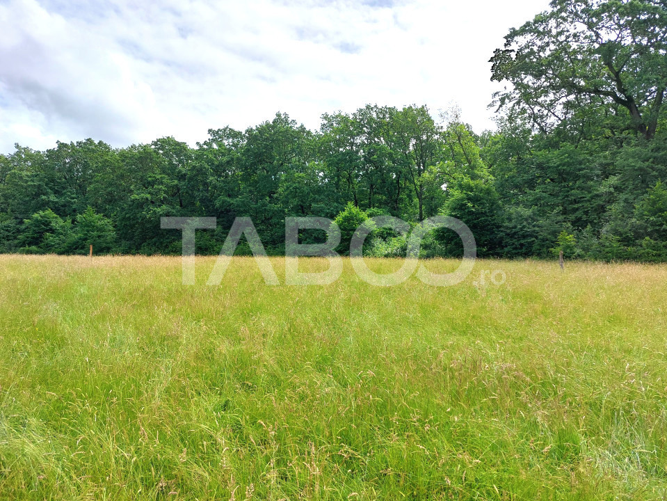 Teren extravilan 450 mp pentru cabana filigorie gradina Cisnadie P20451 ...